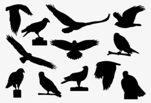 Buzzard Silhouettes Vector - Buzzard Silhouette - Free Transparent PNG ...