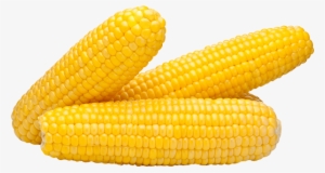 Maize - Free Transparent PNG Download - PNGkey