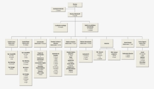 Organizational Chart - Coca Cola Organizational Structure - Free ...