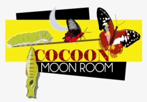 The Cocoon Moon Room - Cocoon Moon Room - Free Transparent PNG Download ...