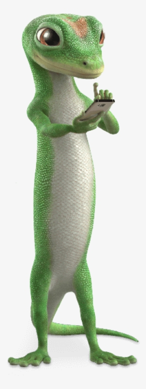 Geico Direct Logo Png Transparent - Geico Logo - Free Transparent PNG ...