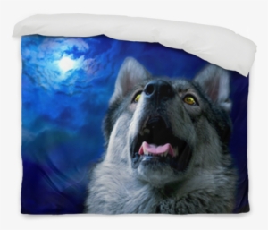 Wolf Eyes PNG, Transparent Wolf Eyes PNG Image Free Download - PNGkey