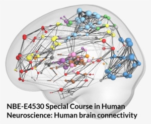 Course Logo - Brain Connectivity - Free Transparent PNG Download - PNGkey