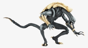 Alien Vs Predator Logo - Free Transparent PNG Download - PNGkey