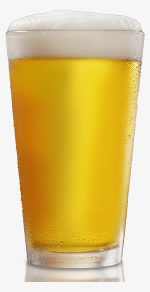 Beer Png Transparent Image - Beer With Transparant Background - Free ...