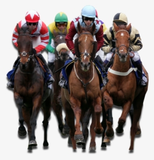 Horse Racing Betting Explained - Transparent Horse Race Png - Free ...