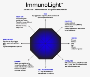 Lymphocyte Proliferation Assay Using An Absorbance - Mixed Lymphocyte ...