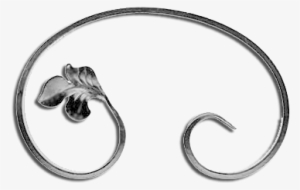 Decorative Scroll PNG, Transparent Decorative Scroll PNG Image Free ...