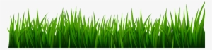 Transparent Line Of Grass - Free Transparent PNG Download - PNGkey