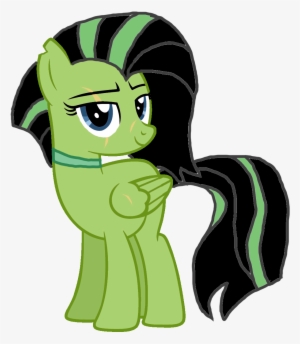 Shamrock PNG, Transparent Shamrock PNG Image Free Download - PNGkey