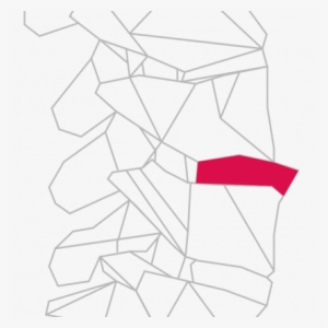 Take A Look At Our Interactive Spine And Find Out How - Vertebral ...