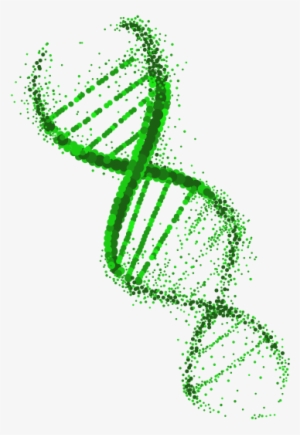 Dna PNG, Transparent Dna PNG Image Free Download - PNGkey