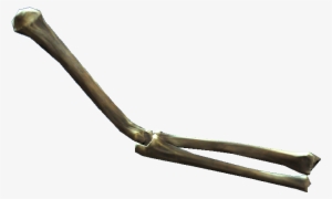 Bones Png Pic - Real Bones Png - Free Transparent PNG Download - PNGkey