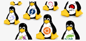 Linux Mascote - Free Transparent PNG Download - PNGkey