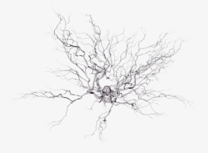 Scanning Electron Microscope - Free Transparent PNG Download - PNGkey