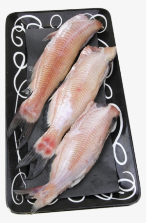 Fresh Farm Raised Whole Catfish - Bass - Free Transparent PNG Download ...