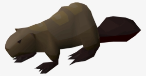 Beaver Png - Free Transparent PNG Download - PNGkey