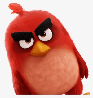 Red - Angry Bird Red Png - Free Transparent PNG Download - PNGkey
