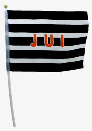 Jui Pipe Flag - Jamiat Ulema Islam Flag Simple - Free Transparent PNG ...
