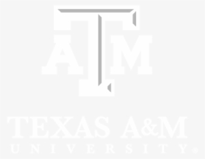 Tam Stack, White - Tap - Free Transparent PNG Download - PNGkey