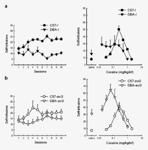 C57 PNG, Transparent C57 PNG Image Free Download - PNGkey