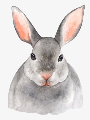 Hand Painted Gray Rabbit Png Transparent - My Big Fat Bullet Journal ...