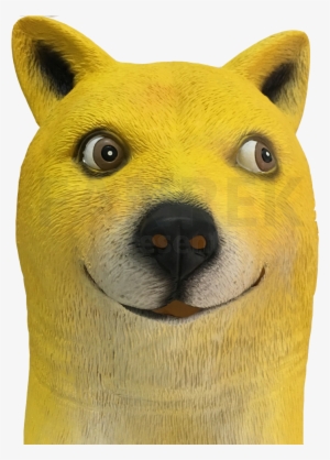 Doge Wow Meme - Doge - Free Transparent PNG Download - PNGkey