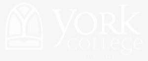 Picture - York College Panthers Logo - Free Transparent PNG Download ...