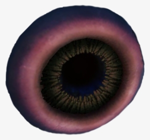 Tree Leech - Flora - Free Transparent PNG Download - PNGkey