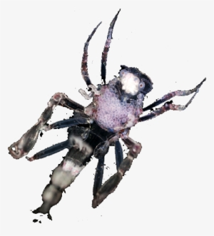 Boat Token Dnd - Free Transparent PNG Download - PNGkey