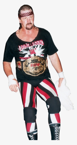 Ecw Champion Terry Funk - Terry Funk Us Champion - Free Transparent PNG ...