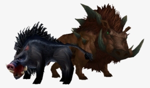 Boars Are A Common, Usually Furry, Cloven Hoofed, Four - Boar Wow ...