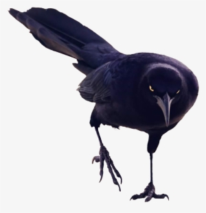 Badass Bird Cutouts Png Badass Raven Bird - Png Birds - Free ...