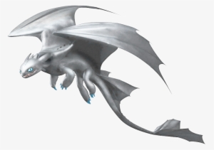 Httyd 3 - Night Fury And Light Fury - Free Transparent PNG Download ...