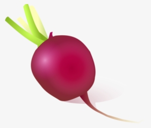 White Radish Png - Mula Vegetables - Free Transparent PNG Download - PNGkey