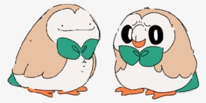 Rowlet PNG, Transparent Rowlet PNG Image Free Download - PNGkey