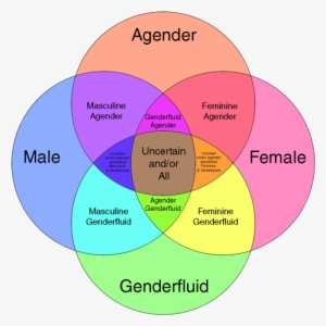 Gender Id Chart - Gender Spectrum Explained - Free Transparent PNG ...