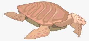 Turtle, Art, Shell, Ancient - Archelon Png - Free Transparent PNG ...