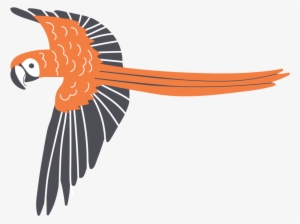 Pataka - Free Transparent PNG Download - PNGkey