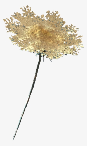 Flowers PNG, Transparent Flowers PNG Image Free Download , Page 31 - PNGkey