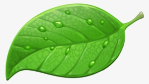 Leaf - Pan Leaf Logo Png - Free Transparent PNG Download - PNGkey