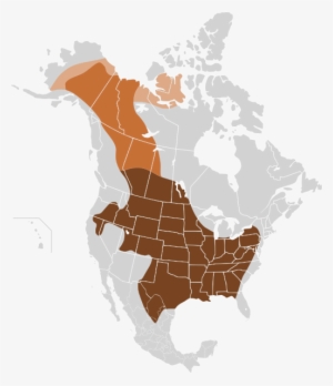 Original Distribution - Bison Range - Free Transparent PNG Download ...