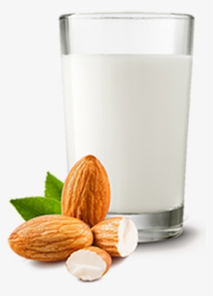 Almond Png - Badam Png Images Hd - Free Transparent PNG Download - PNGkey