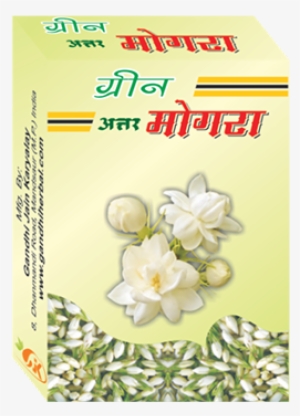 Green Mogra - Ittar - Free Transparent PNG Download - PNGkey