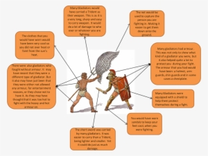 The Different Types Of Gladiators Andabata The Andabata - Différent ...