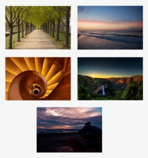 But Now Go And Look For Yourself And Vote - Collage - Free Transparent ...