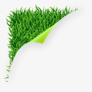 Corner Grass Png - Free Transparent PNG Download - PNGkey