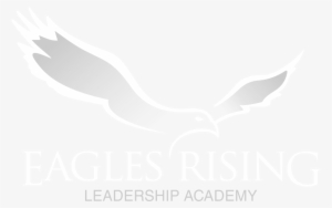 Eagle Rising - Free Transparent PNG Download - PNGkey