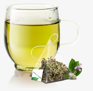 Herbal Tea Png - Free Transparent PNG Download - PNGkey