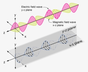 The Electromagnetic Spectrum - Electromagnetic Wave - Free Transparent ...